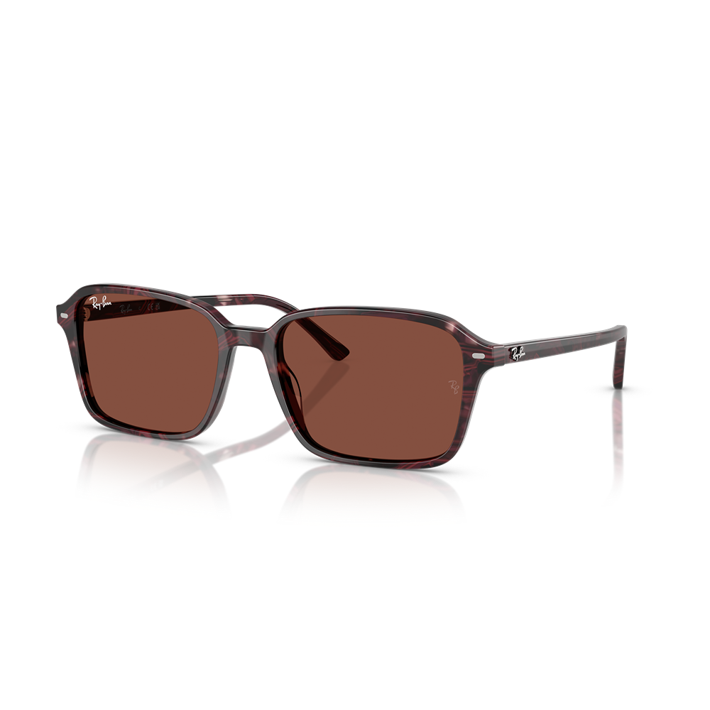 Ray-Ban sunglasses RB2231 Raimond col. 1416C5 | Ottica dieci decimi